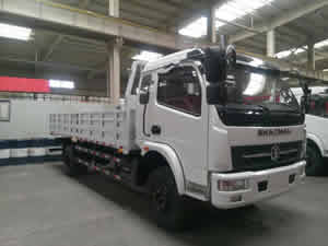 10 Ton Cargo Truck - shacman truck,f3000,f2000,dump trucks,tractor head ...